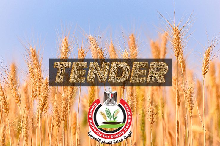 Egypt plans to increase wheat purchases through GASC tenders