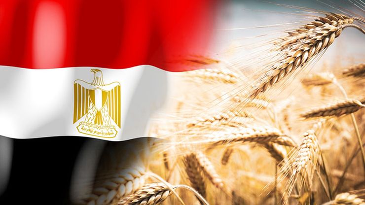 Egypt aims to produce 5 million tons of wheat